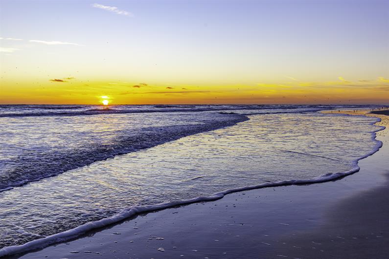 Edison Pointe Townhomes for Sale | Ryan Homes