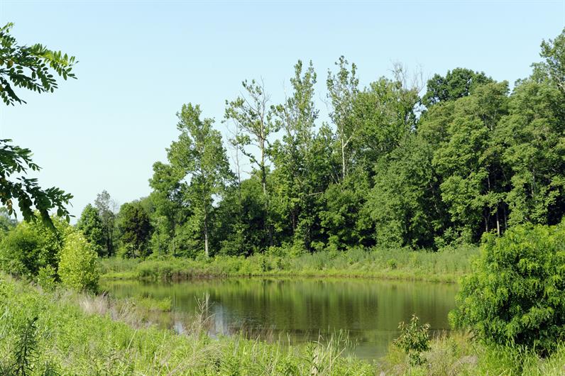 Sycamore Ridge Single-Family Homes for Sale | Ryan Homes