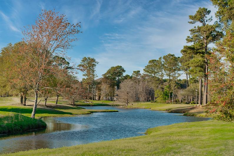 Sumter Villas Single-Family Homes for Sale | Ryan Homes