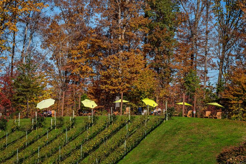 Hidden Village Single-Family Homes and Main-Level Owner's Suite Homes ...